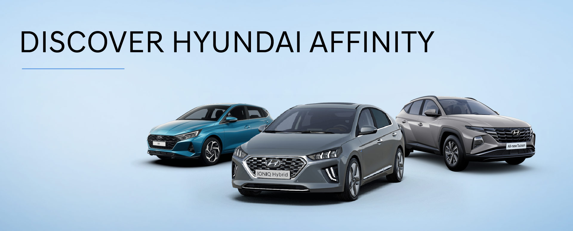 Discover the Hyundai Affinity Scheme